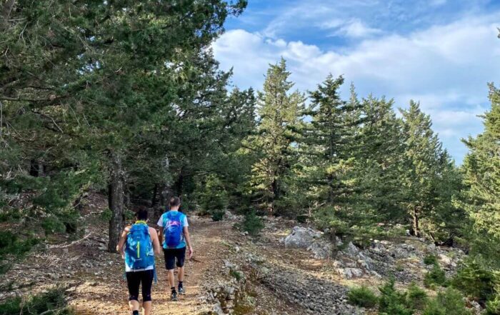 Attavyros Mountain: the big one - Hiking Rhodes