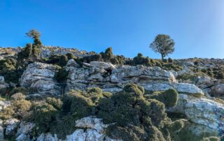 Attavyros Mountain: the big one - Hiking Rhodes