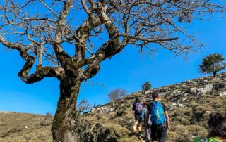 Attavyros Mountain: the big one - Hiking Rhodes
