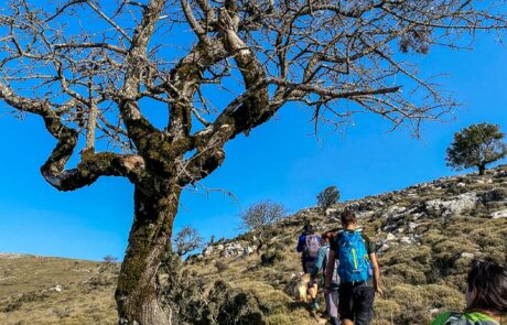 Attavyros Mountain: the big one - Hiking Rhodes